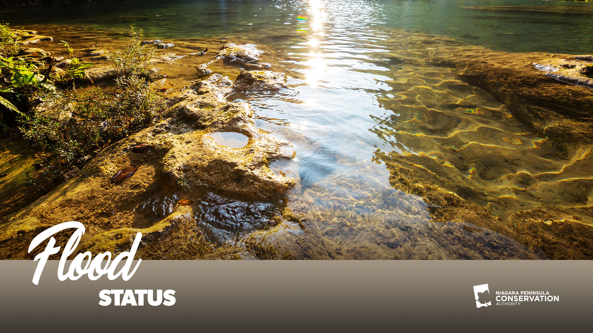Flood Status | Niagara Peninsula Conservation Authority