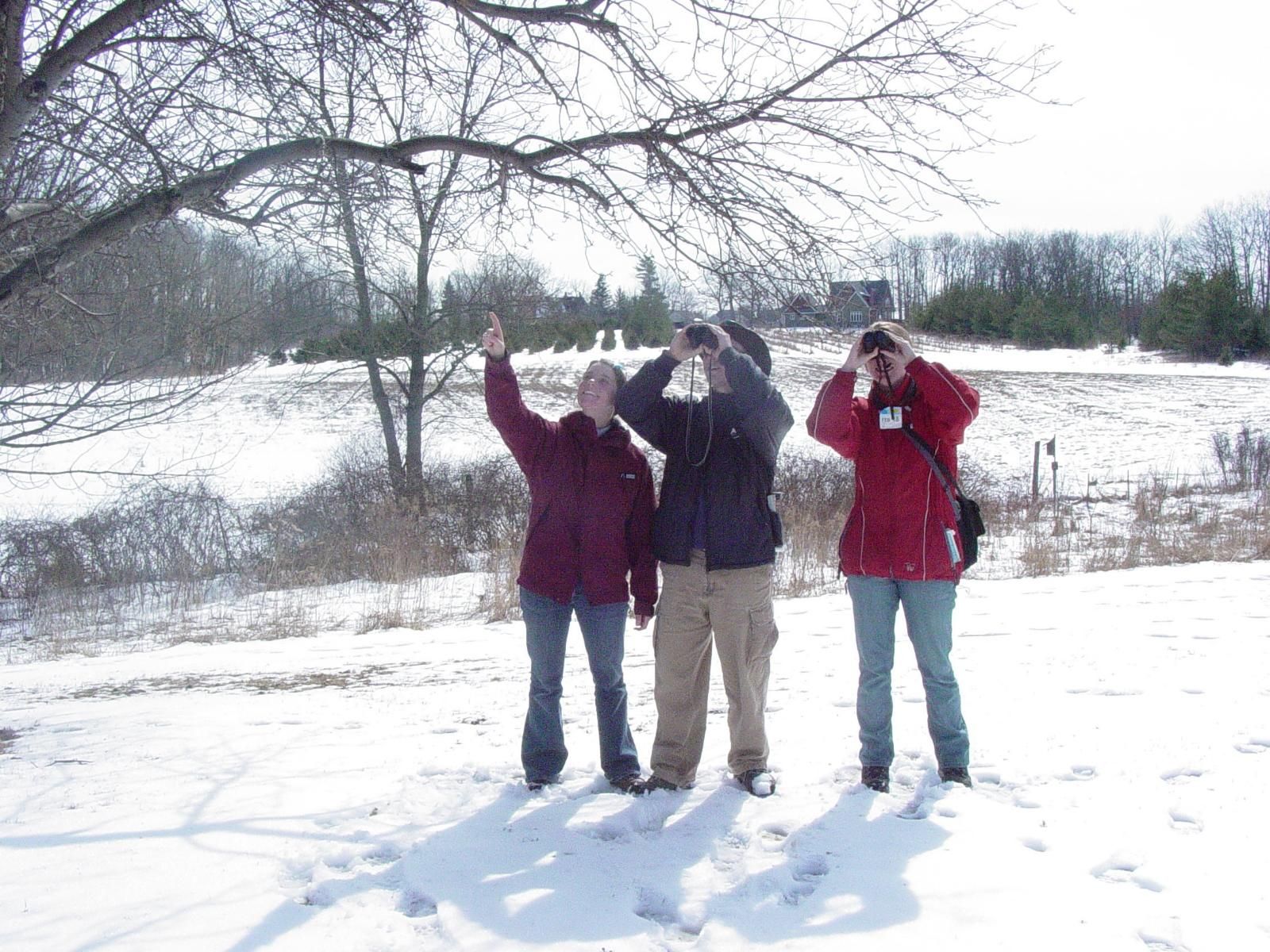 Beamer Memorial | Niagara Peninsula Conservation Authority